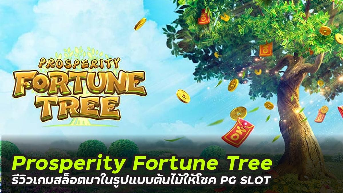 Prosperity Fortune Tree รีวิวเกมสล็อตมาในรูปแบบต้นไม้ให้โชค